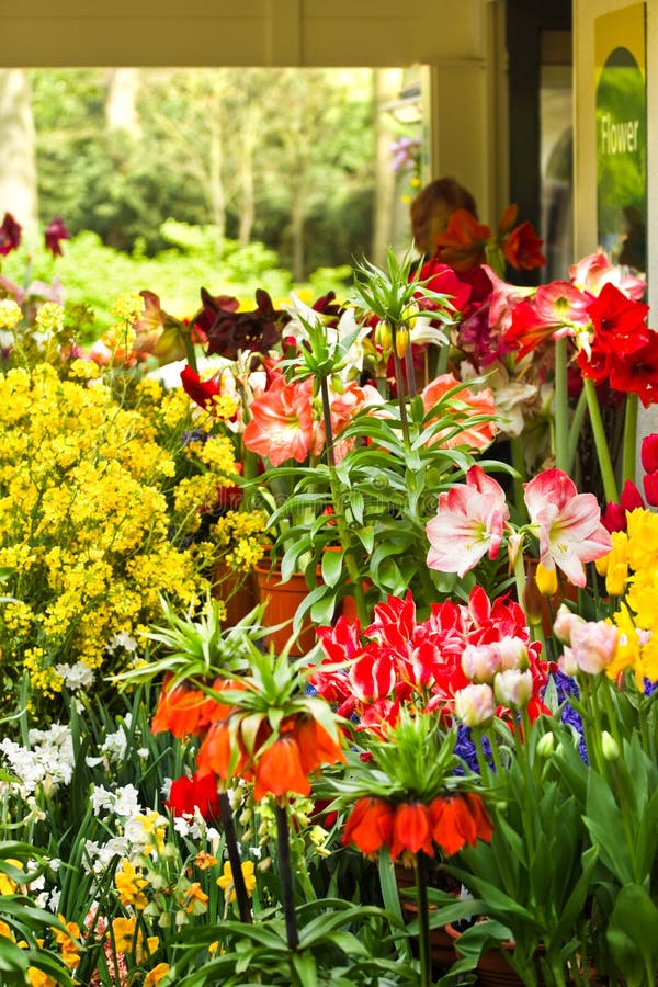 Flower shop in spring stock image. Image of light, flowershop - 37442111