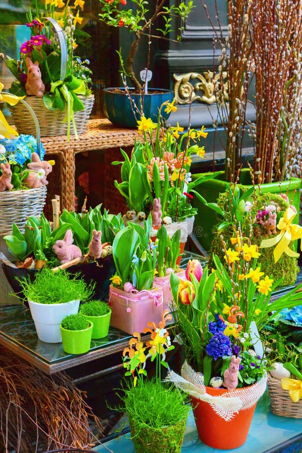 Flower shop stock image. Image of flowerpot, bouquet - 113100401