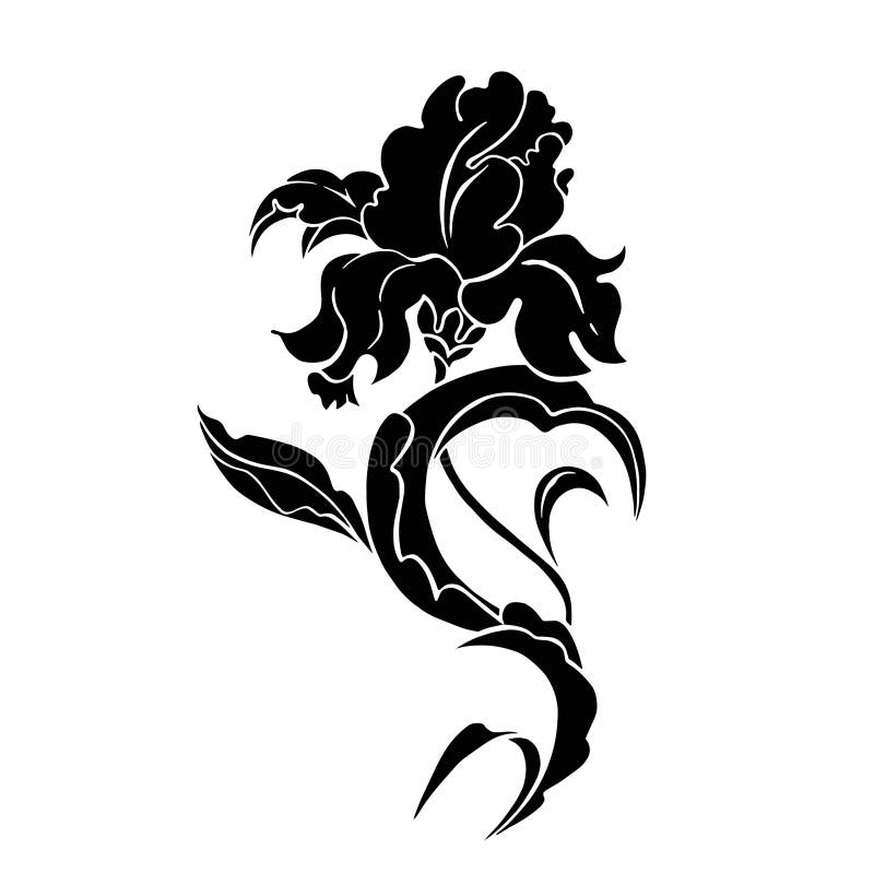 Sinuet Iris Stock Illustrations – 2 Sinuet Iris Stock Illustrations ...