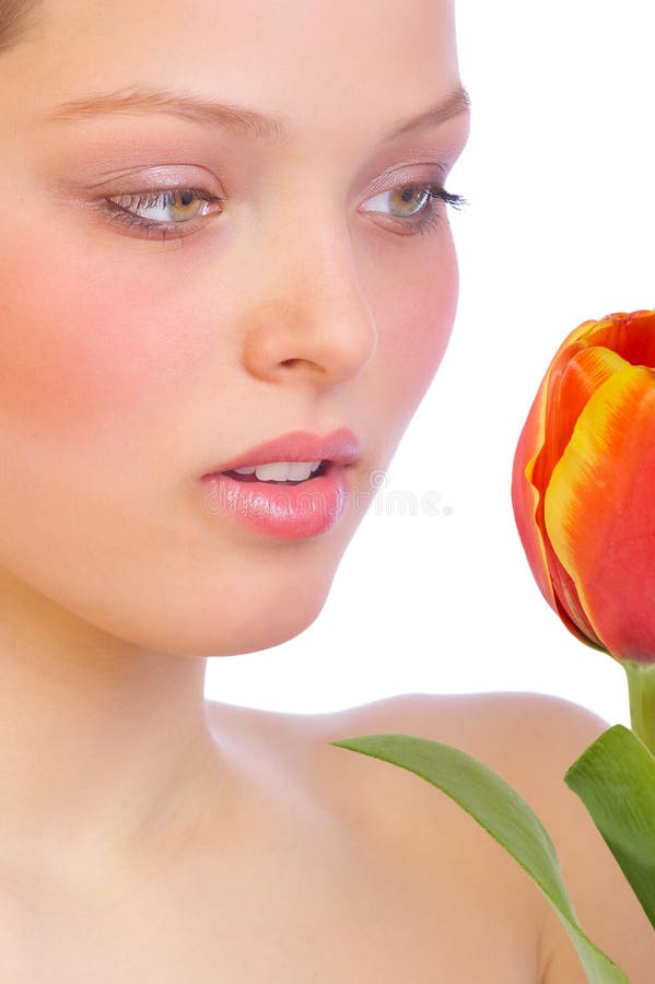 Flower skin. stock photo. Image of evening, green, copyspace - 600042