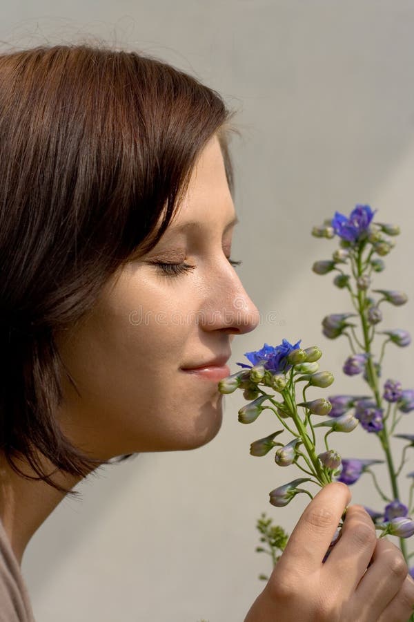 Fragrant flowers stock image. Image of smelling, purple - 27002137