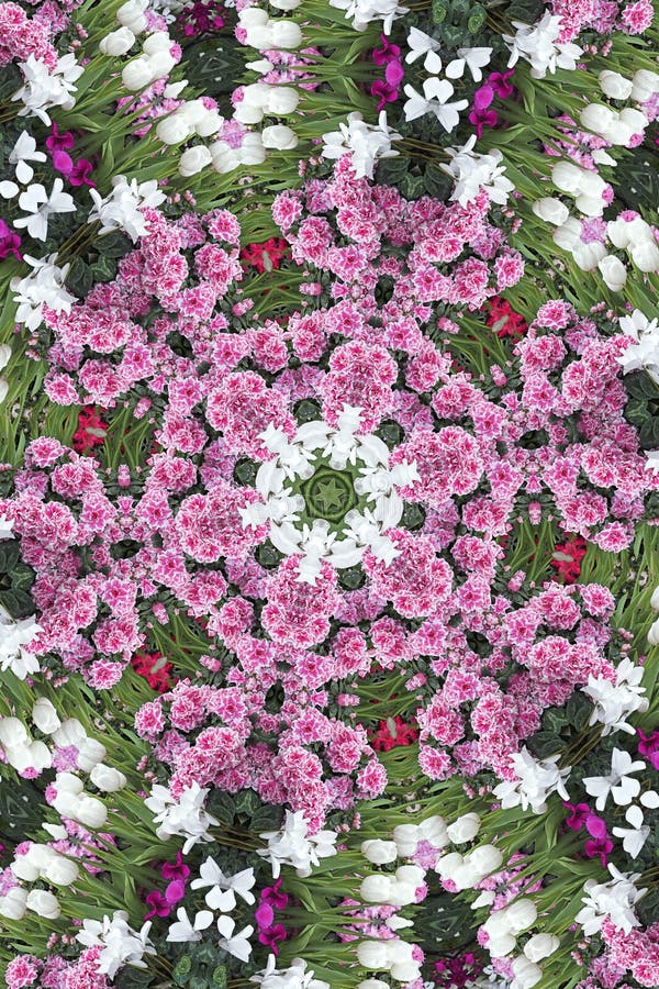 Flower Snowflake stock illustration. Illustration of pattern - 449832