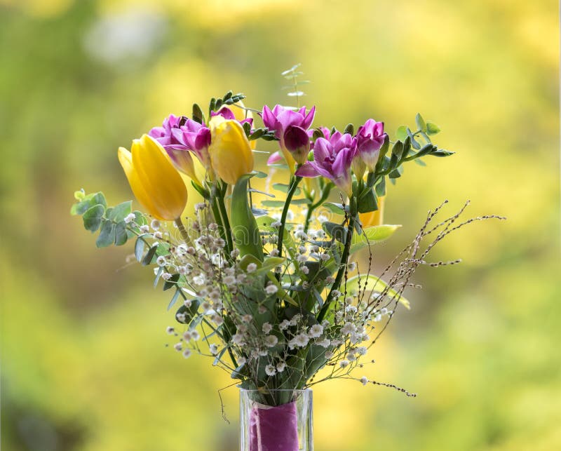 Flower with Soft Focusin the Window. Stock Image - Image of depth ...