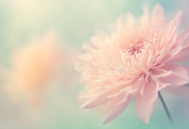 Flower on Soft Pastel Color in Blur Style Stock Illustration ...