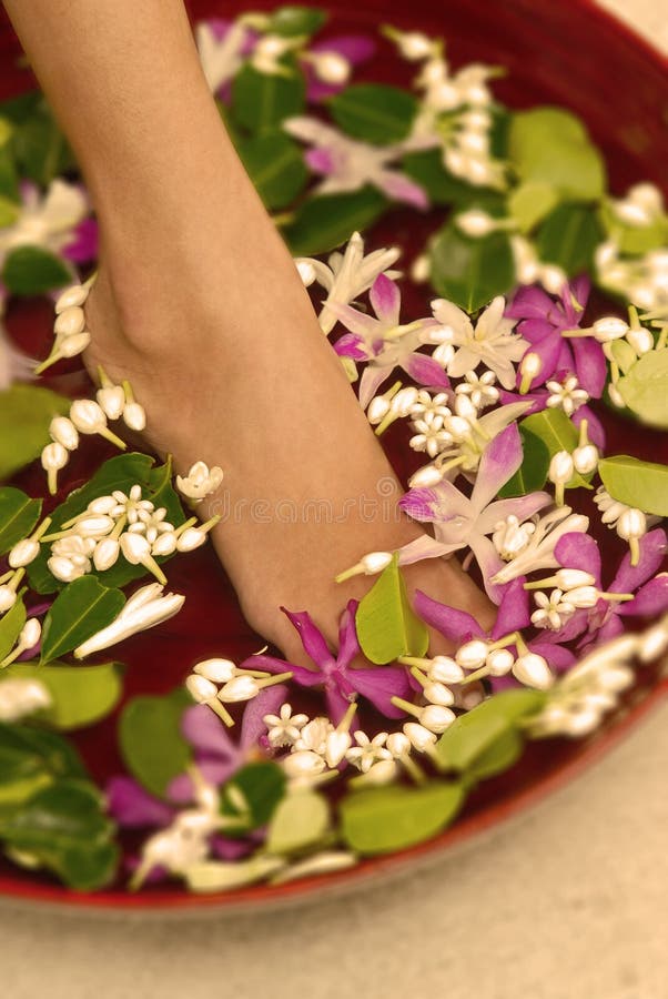 Flower spa bowl stock image. Image of treatment, flower - 88041065