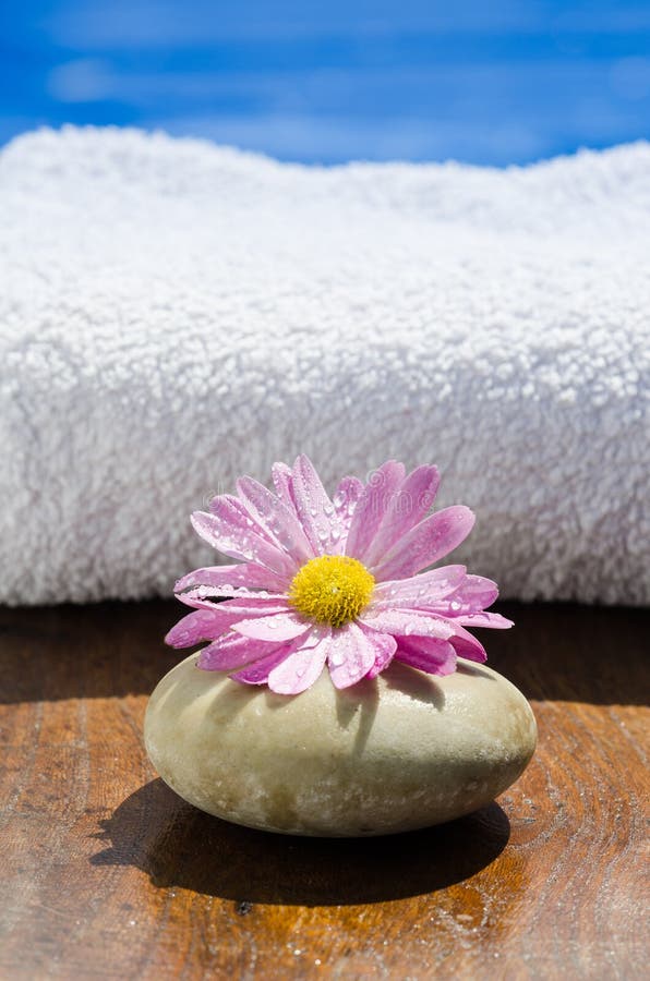 Zen Flower and Stone stock image. Image of nature, healthy - 24346737