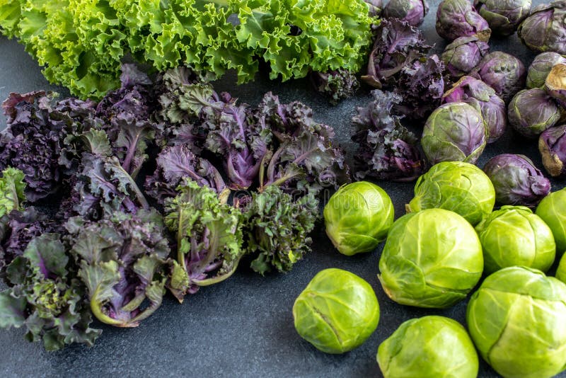 Flower Sprouts with Spring Cabbage, Violet and Green Brussels Sprouts ...