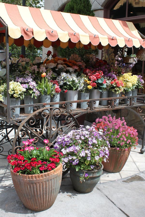 Flower Stall stock image. Image of nature, flowers, sale - 21312217