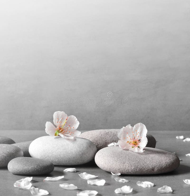 Flower and Stone Zen Spa on Grey Background Stock Image - Image of ...