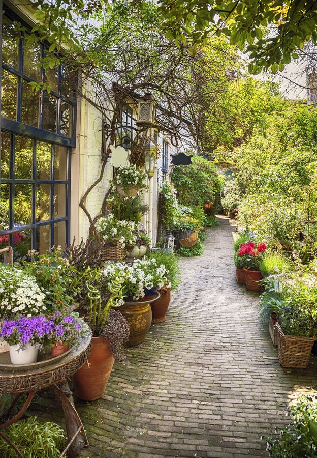 Flower street in town stock image. Image of floral, backyard - 31686701