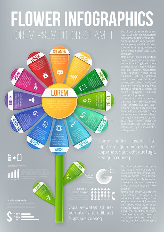 Flower Style Infographic Chart Options Menu Stock Vector - Illustration ...