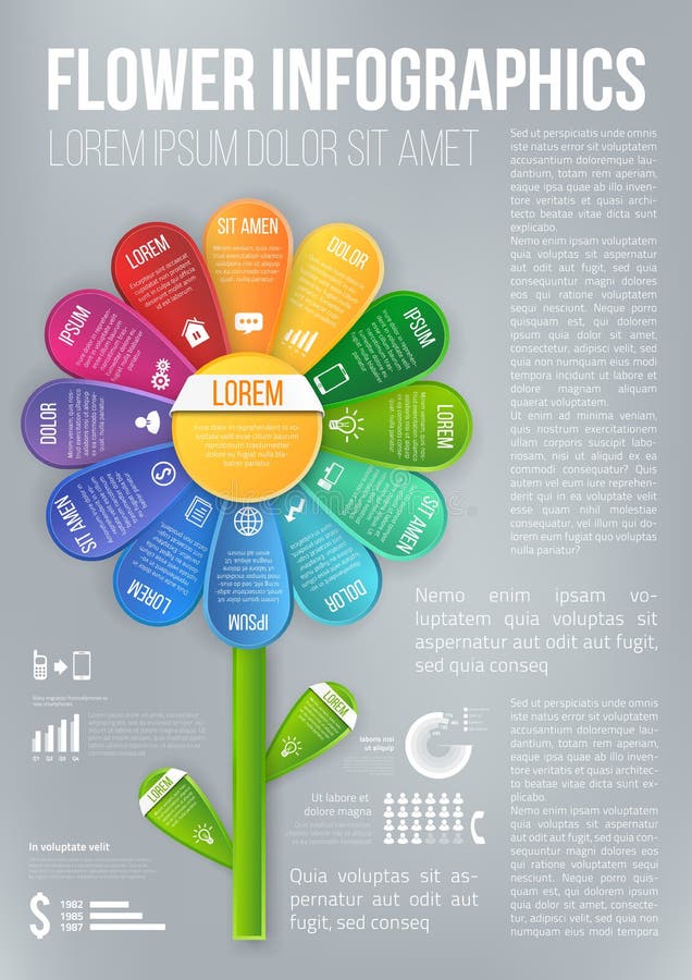 Flower Infographic Stock Illustrations – 11,090 Flower Infographic ...