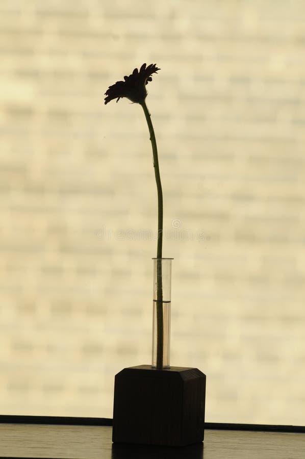 A Flower Symbol for Decorative Purposes Stock Image - Image of floral ...