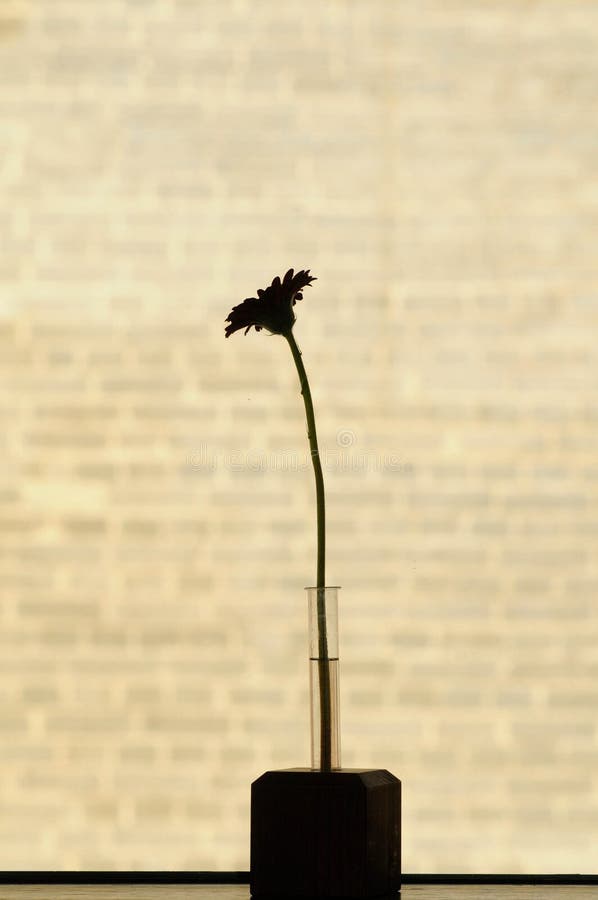 A Flower Symbol for Decorative Purposes Stock Photo - Image of decorate ...