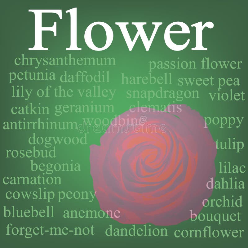 Flower. Tag clout stock illustration. Illustration of cowslip - 24421533