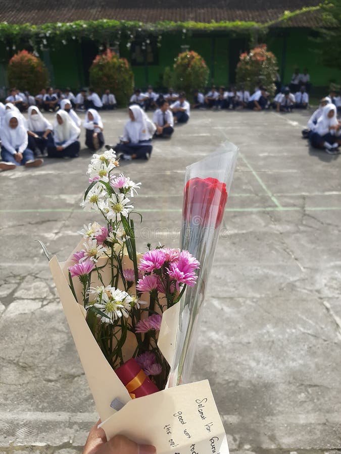 Flower teacher day stock image. Image of tree, plant - 263731637