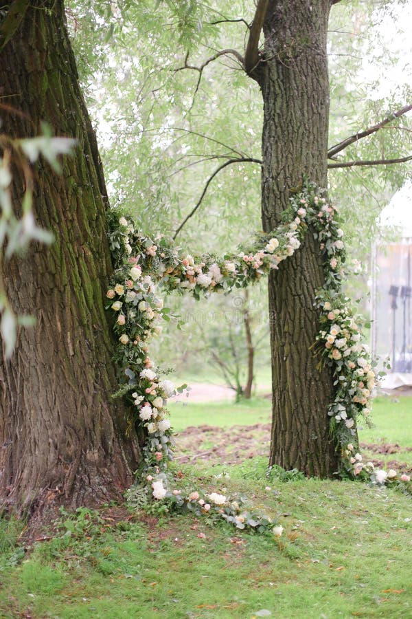 Flower Tender Arch for Wedding and Trees. Stock Photo - Image of ...