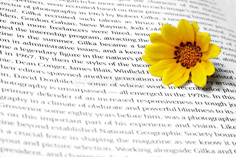 Flower on Text stock image. Image of education, text, bloom - 1899677