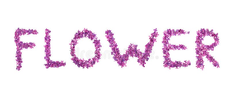 Flower Text Made of Purple Lilac Pedals Stock Image - Image of frame ...