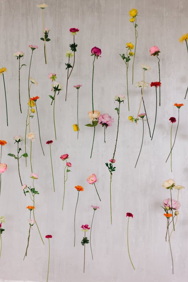 Flowers on Gray Background. Spring Concept Stock Image - Image of ...