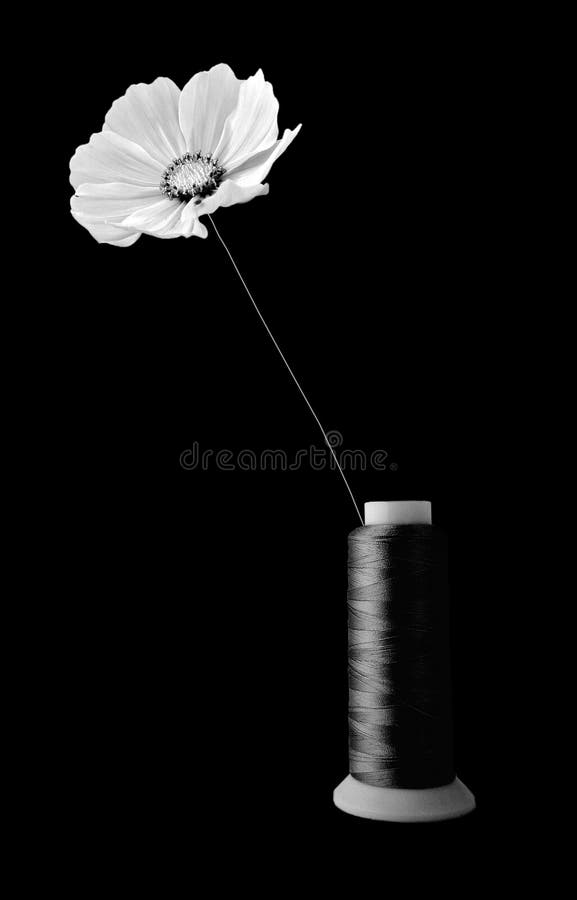 Flower on the thread stock image. Image of idea, nature - 51819293