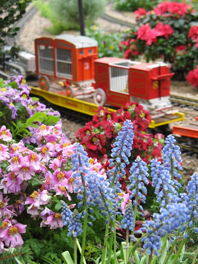 Flower Train stock image. Image of track, blue, spring - 31166423