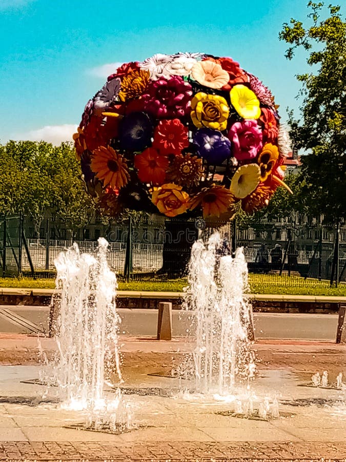Flower tree in Lyon stock photo. Image of autumn, yellow - 213624900