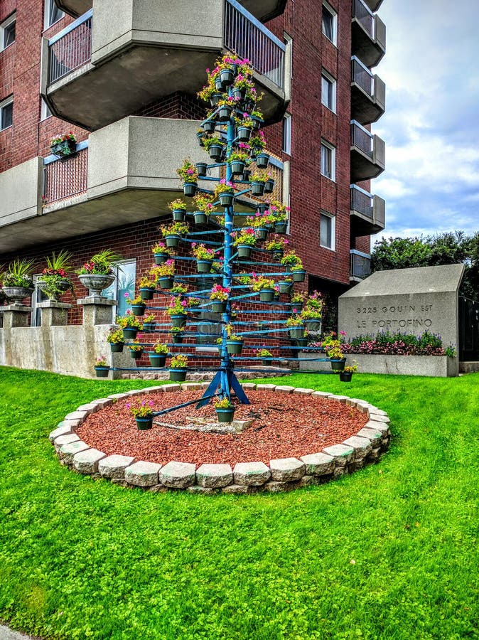 Flower Tree stock photo. Image of tree, flower, flowers - 76229498