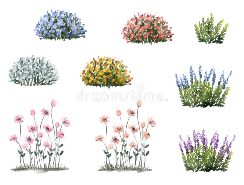 Flower Tree Side View Isolated Stock Photo - Image of environment, view ...