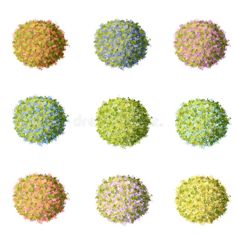 Flower Tree Top View Isolated Stock Illustration - Illustration of ...