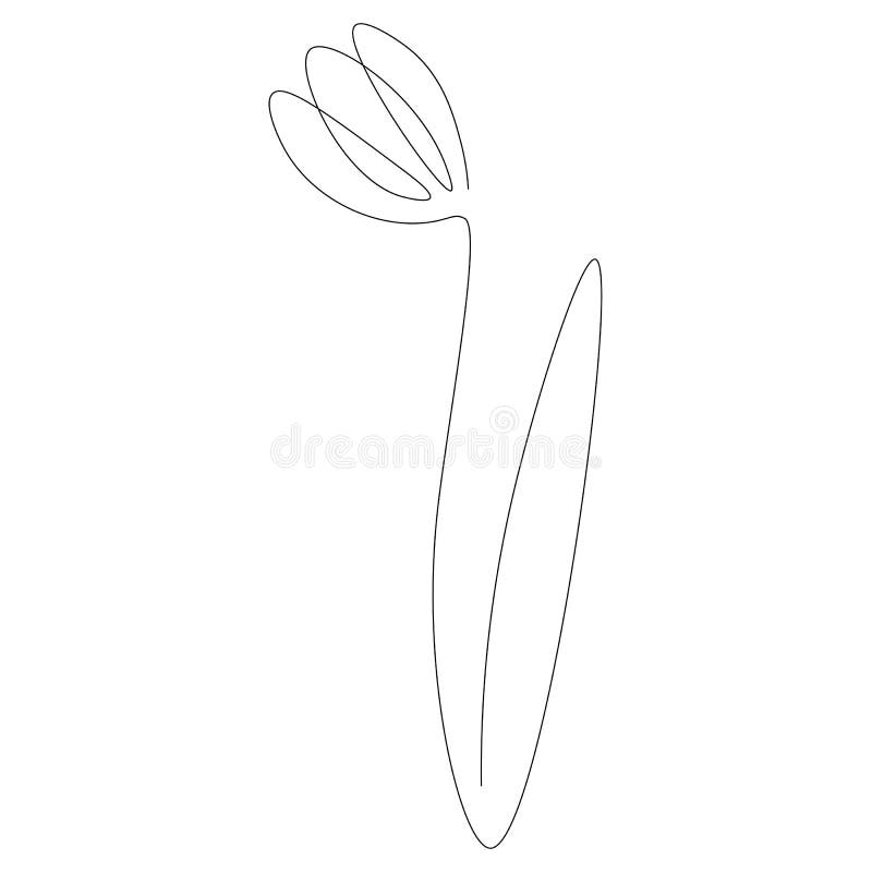 Flower Tulip Line Drawing, Vector Illustration Stock Vector ...