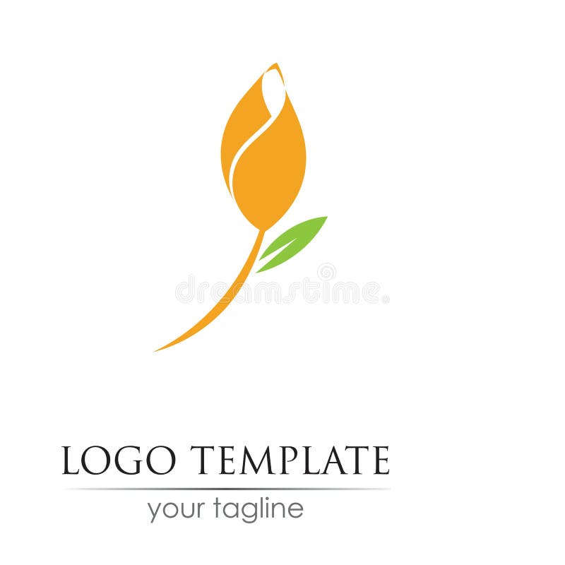 Flower Tulip Logo Vector Illustration Design Template Stock Vector ...