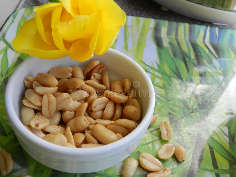 Flower Tulip and nuts stock image. Image of happiness - 67083307