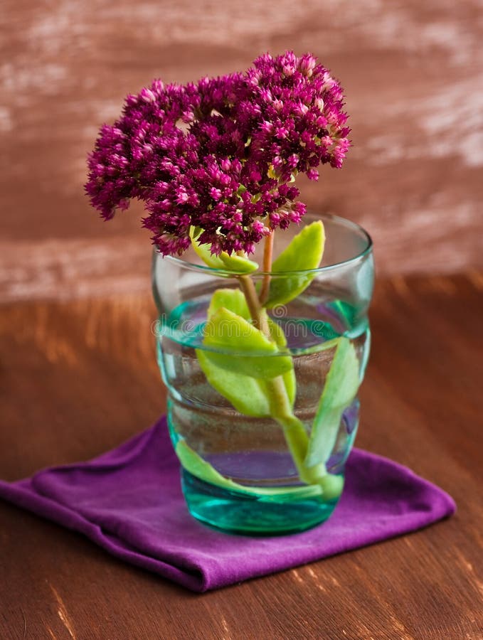 Flower in turquoise glass stock image. Image of flower - 26804721