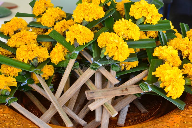 Flower used for prayer stock photo. Image of believe - 72571212