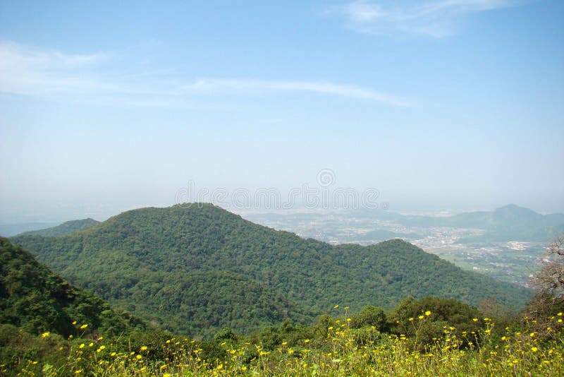 Flower vally stock image. Image of landscape, beauty - 152787119