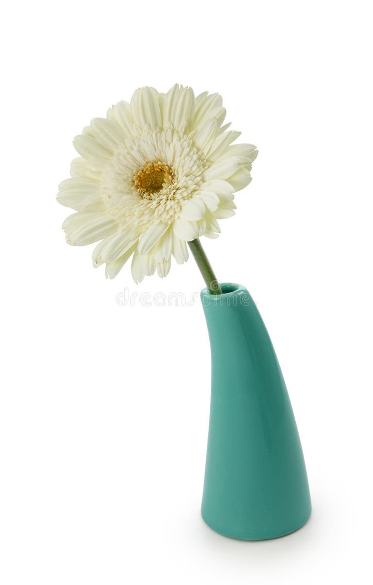 18,379 Single Flower Vase Stock Photos - Free & Royalty-Free Stock ...