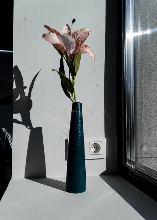 Flower in a Vase with a Shadow Stock Photo - Image of luxury, dining ...