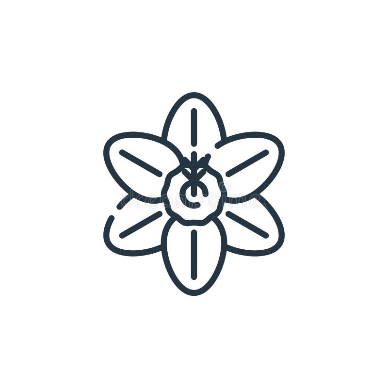 Flower Vector Icon Flower Editable Stroke Flower Linear Symbol For