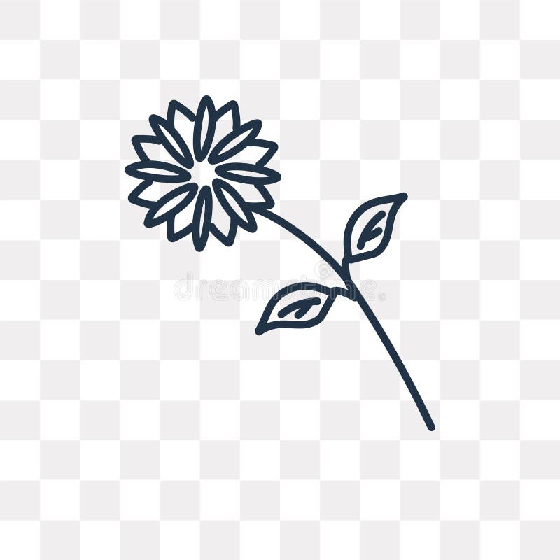 Flower Vector Icon Isolated on Transparent Background, Linear Fl Stock ...