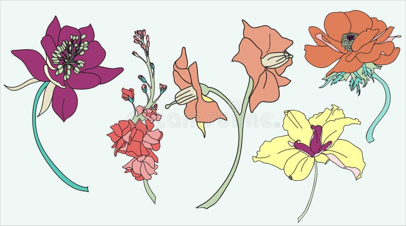Flower vector pack stock vector. Illustration of garden - 72951379