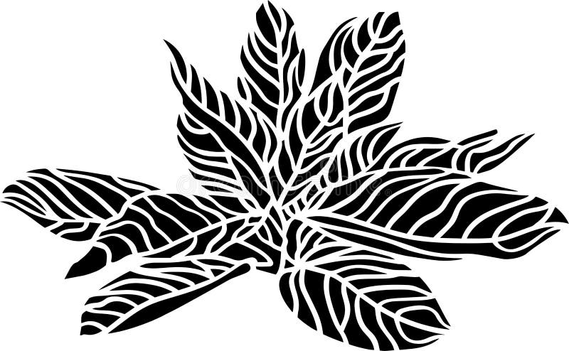 Flower Vector Stencil, Black and White Stock Vector - Illustration of ...