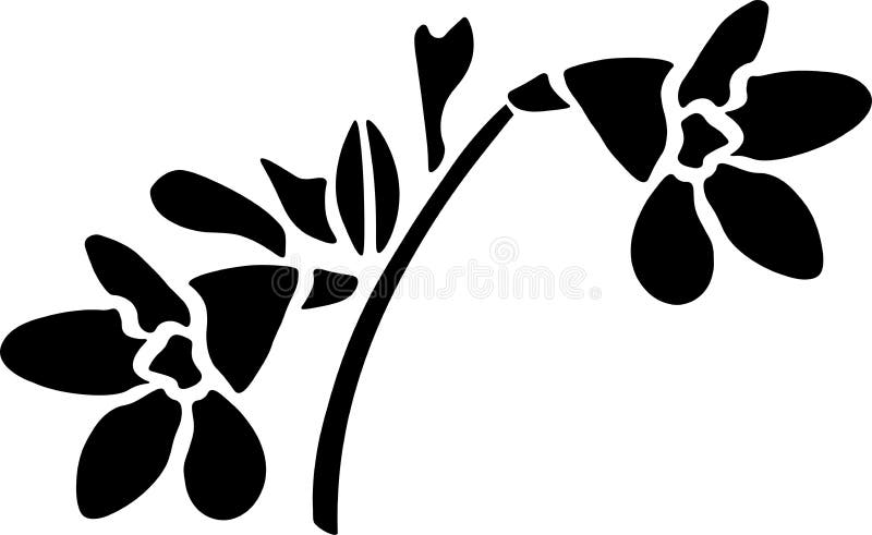 Flower Vector Stencil, Black and White Stock Vector - Illustration of ...