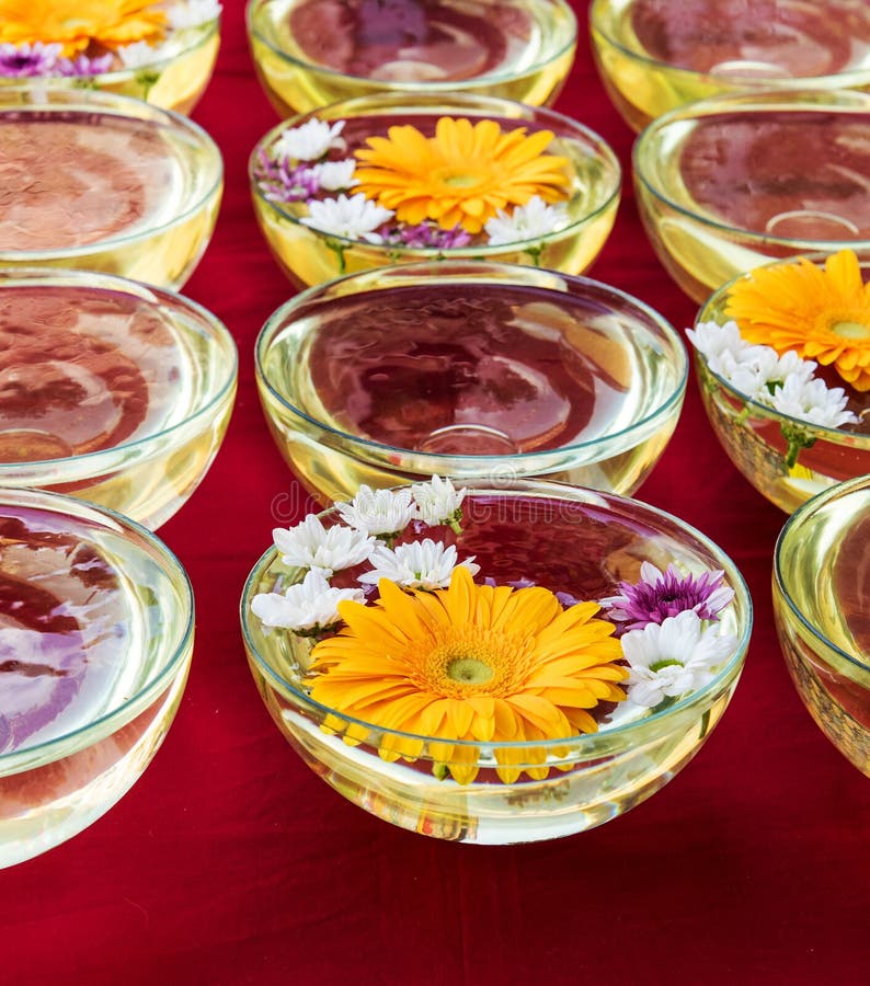 Flower in water bowl stock image. Image of float, floating - 73105357