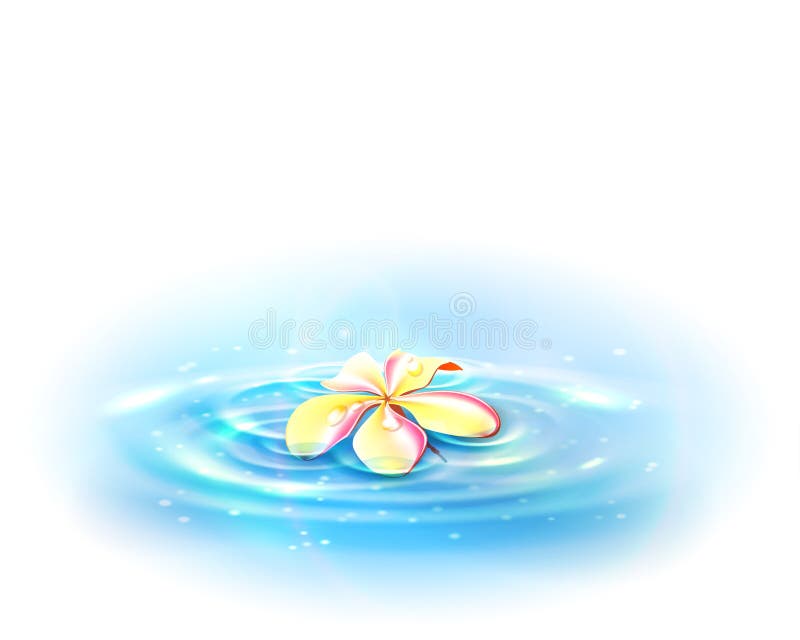 Flower in the Water. stock vector. Illustration of nature - 52669603