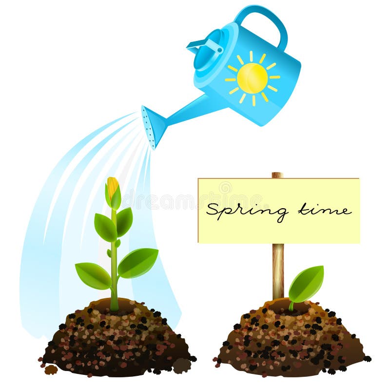 The Sprout is Watered with Water from the Watering Can on a White ...