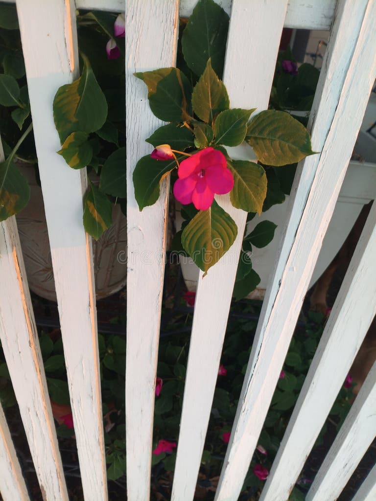 2,565 Why Not Collapsing Stock Photos - Free & Royalty-Free Stock ...