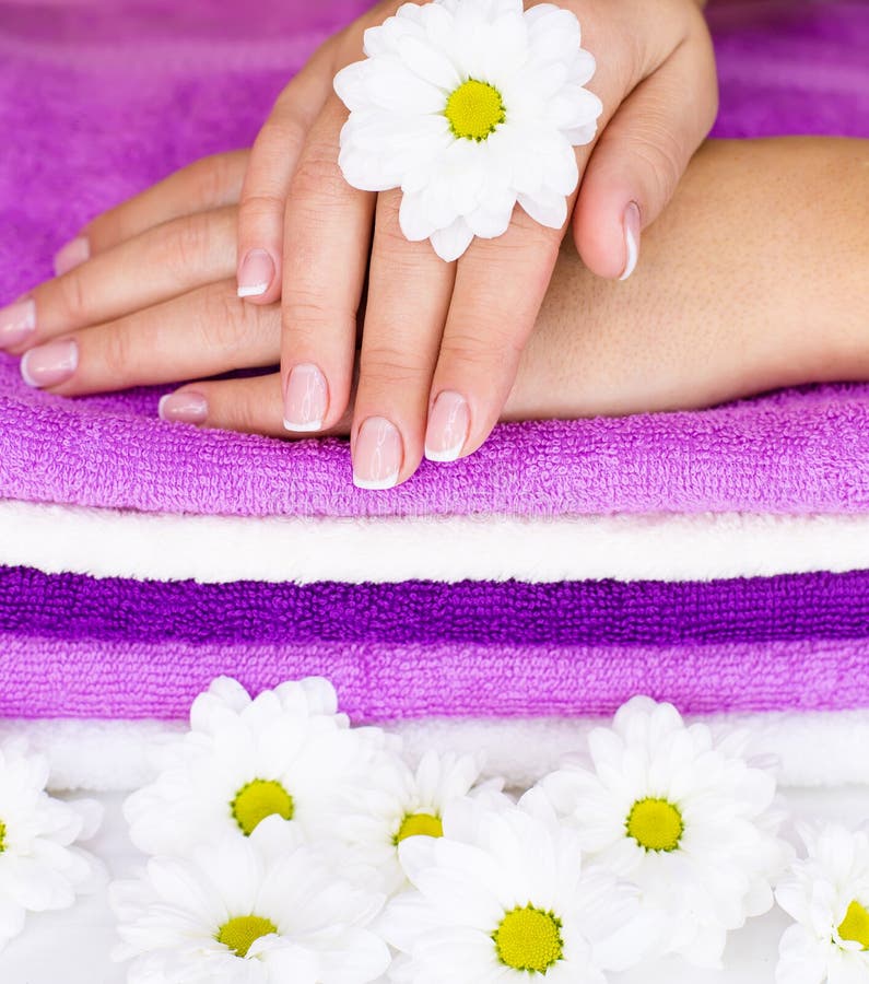 Flower on women hand stock image. Image of medicine, girl - 27539245