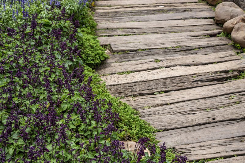 Board path on dock stock image. Image of anchor, sport - 29030403
