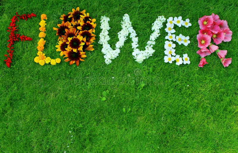 3D the Word `flowers` from the Garden Flowers Stock Photo - Image of ...